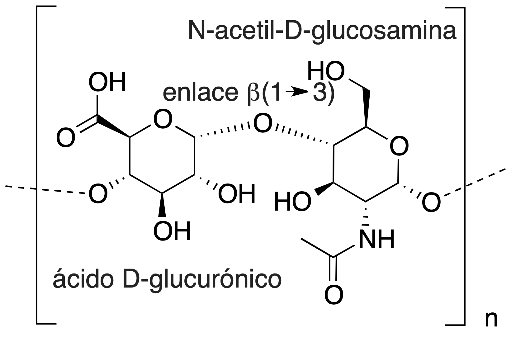 Ácido hialurónico | De Química Ácido hialurónico | De Química