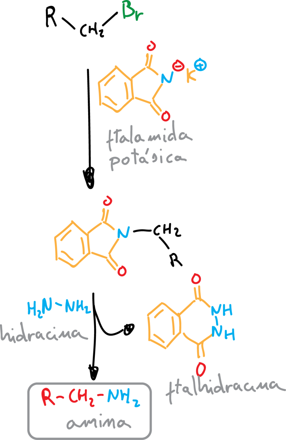 Reacciones de Aminas Alifáticas | De Química