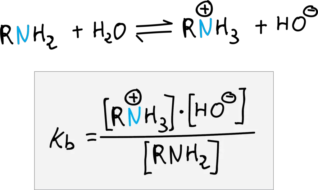 ¿Qué son las Aminas? | De Química