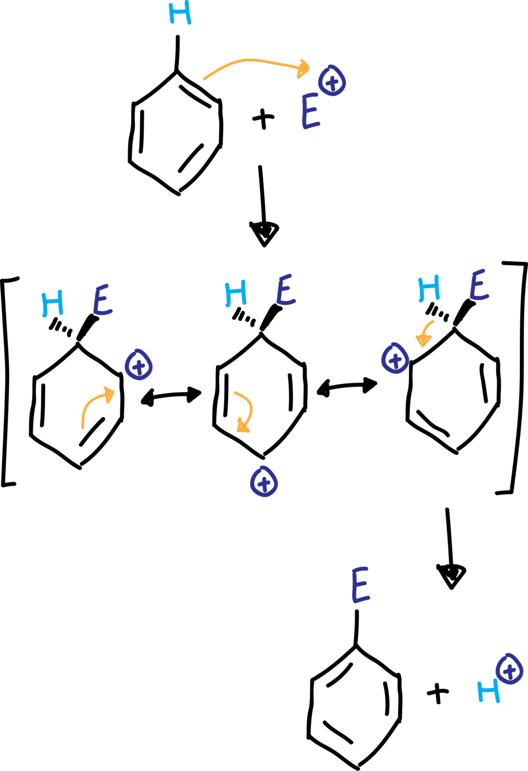 Electrophilic Aromatic Substitution (SEAr) | Chemistry Online